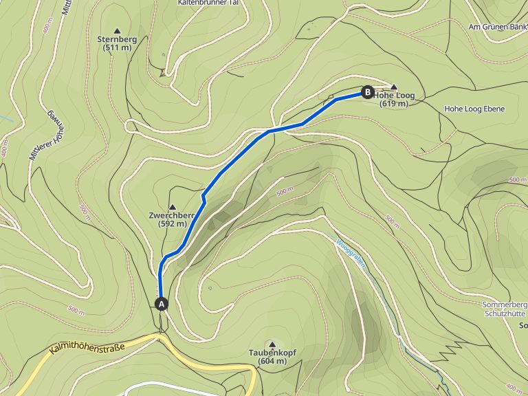 Von Wanderparkplatz Hahnenschritt nach Hohe Loog | Wanderung | Komoot